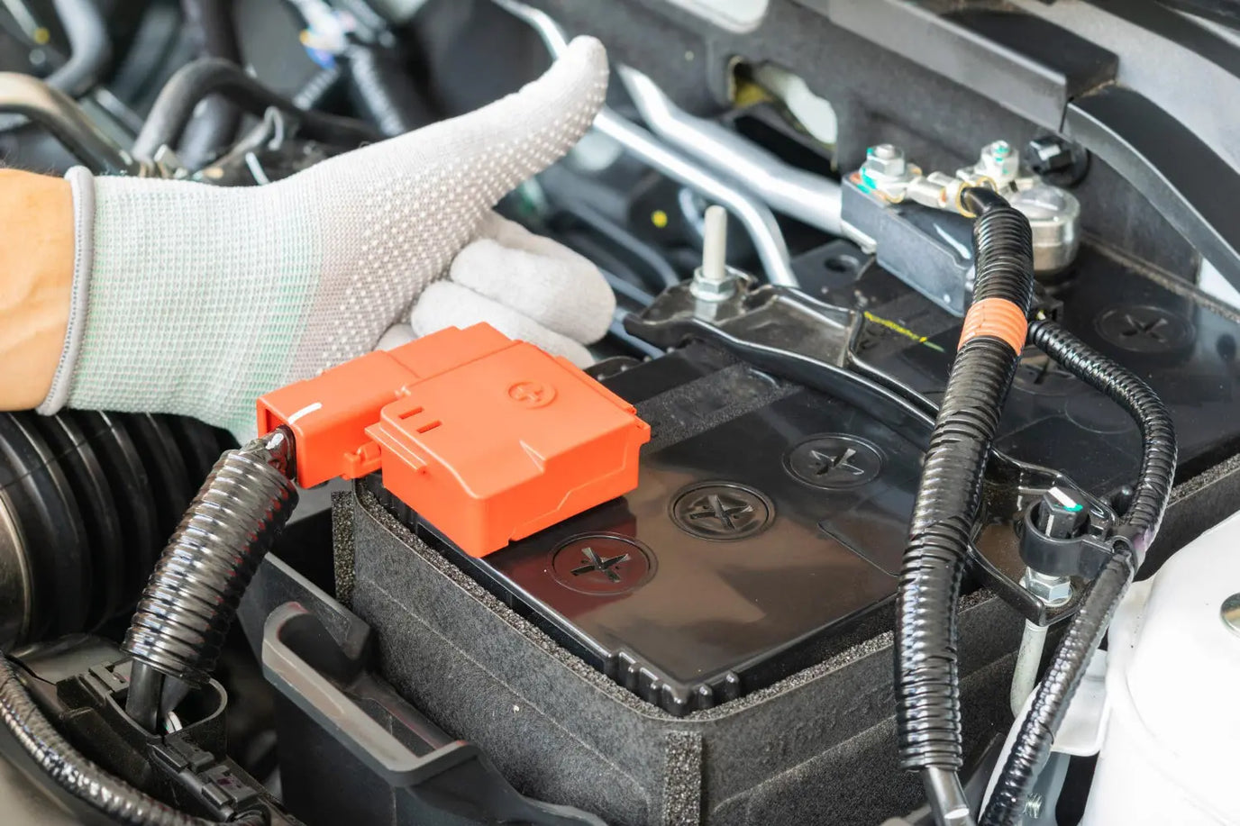 TITAN Lithium Leisure Batteries | The World's Finest Lithium Batteries